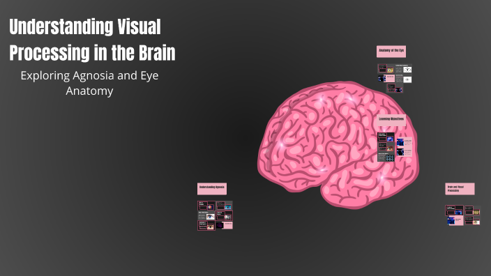 Understanding Visual Processing in the Brain by Kendall Perfect on Prezi