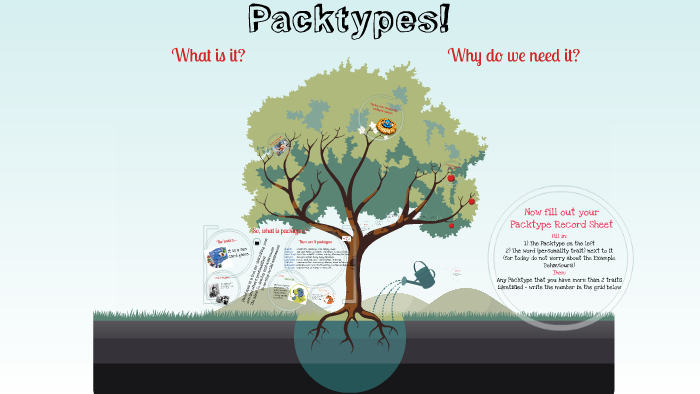 Packtypes! by Gareth Ivett on Prezi