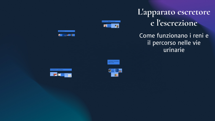 L'apparato escretore e l'escrezione by luca borghetti on Prezi