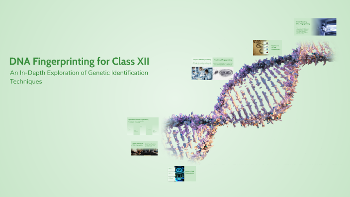 DNA Fingerprinting for Class XII by R P SINGH on Prezi