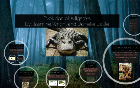 Evolution of Alligators by Dani Battle on Prezi