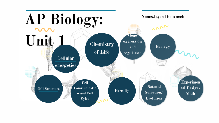Unit 1 AP Bio Test By JAYDA DOMENECH PRESTON unit-1-ap-bio-test-by-jayda-domenech-preston