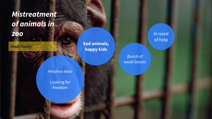 Mistreatment of animals in zoos by Hadi Faz on Prezi