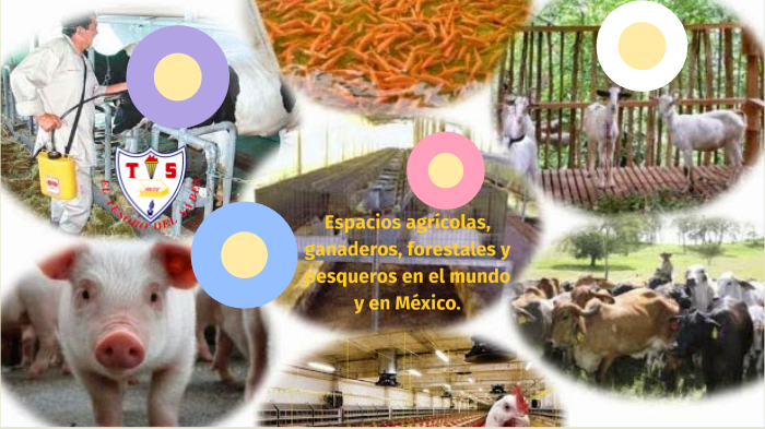 Espacios agrícolas, ganaderos, forestales y pesqueros en México. by ...