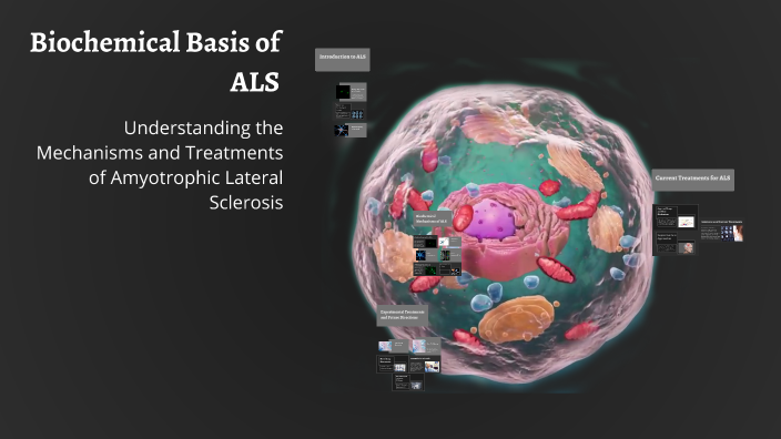 Biochemical Basis of ALS by Şevval Okuducu on Prezi