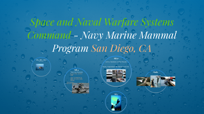 Space and Naval Warfare Systems Command - Navy Marine Mammal by Tasha ...