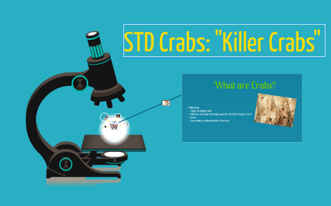 STD Crabs: "Killer Crabs" by Naomi Hill on Prezi