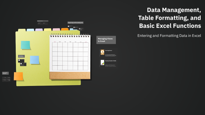 Data Management, Table Formatting, and Basic Excel Functions by saeed ...