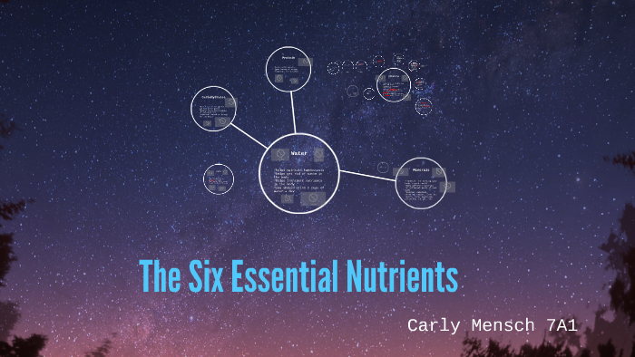 The Six Essential Nutrients by Carly Mensch on Prezi