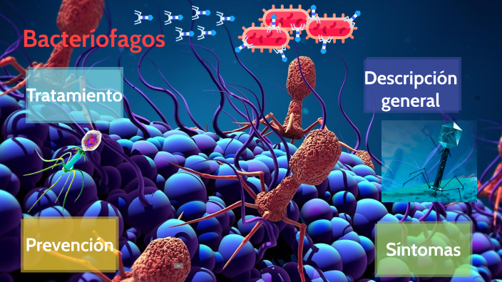 Bacteriófagos by Lucas Andres Ocampo on Prezi
