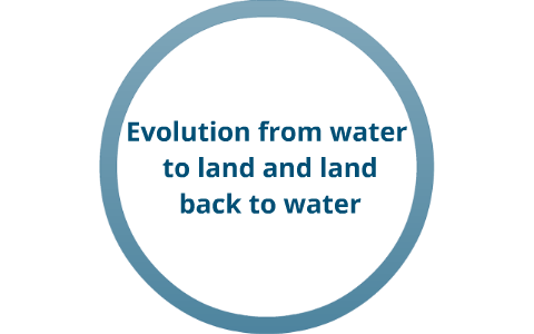 Evolution from water to land by Conner Johnson on Prezi