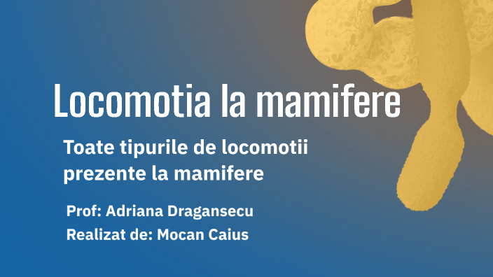 Locomotia la mamifere by Moka Cius on Prezi
