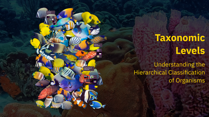 Taxonomic Levels by Leighlah Boone on Prezi