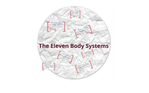 The 11 Body Systems by Tammy Bond on Prezi