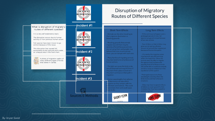 Disruption of Migratory Routes of Different Species by Aryan Sood on Prezi