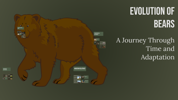 Evolution Of Bears by august reh on Prezi
