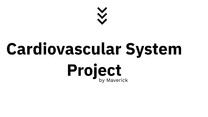 Cardiovascular System Project by maverick on Prezi