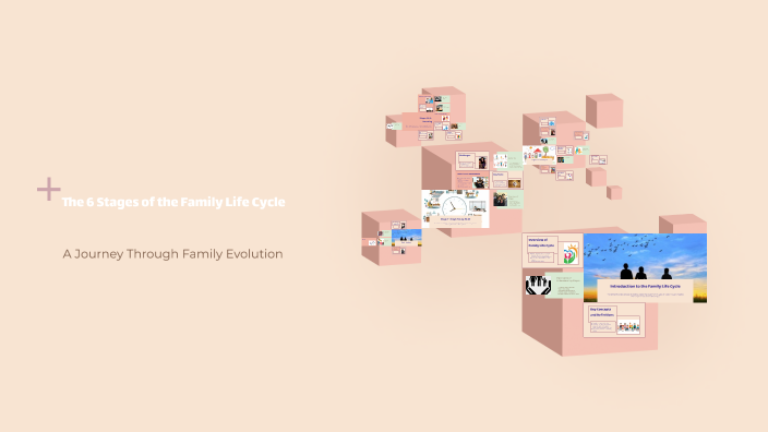 The 6 Stages of the Family Life Cycle by Paige Raley on Prezi