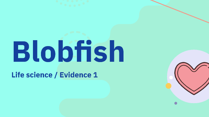 BLOBFISH / LIFE SCIENCE by Meredy Rios on Prezi
