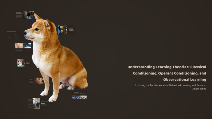 Understanding Learning Theories: Classical Conditioning, Operant ...