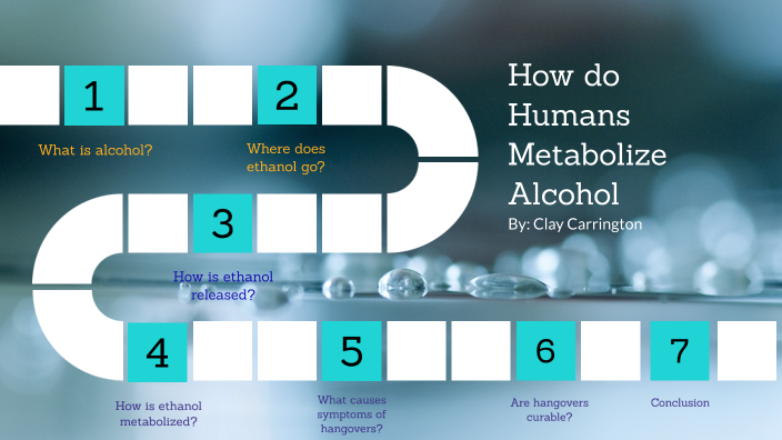 Metabolizing Alcohol by clay Carringotn on Prezi
