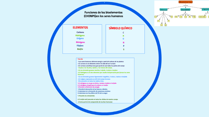 Funciones de los bioelementos (CHONPS)en los seres humanos by estrella ...