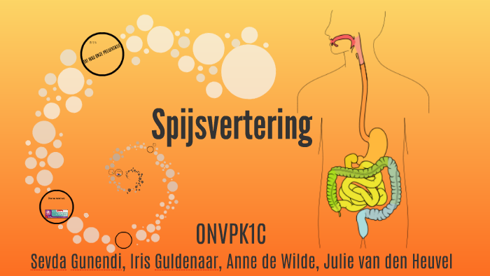 Spijsvertering by Julie van den Heuvel
