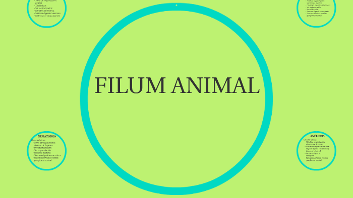 FILUM ANIMAL by Jennifer Rodriguez on Prezi