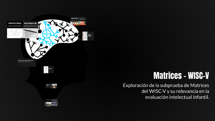 Matrices – WISC-V by Salvador Suarez rodrigez on Prezi