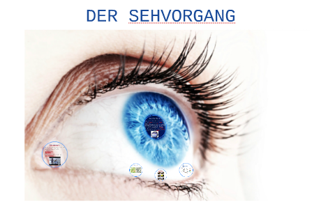 DER SEHVORGANG by Nicole Schera on Prezi