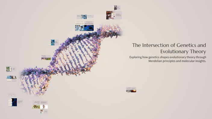 The Intersection of Genetics and Evolutionary Theory by Ali Helmy on Prezi