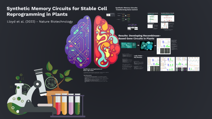 Synthetic Memory Circuits for Stable Cell Reprogramming in Plants by ...