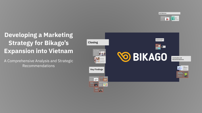 Developing a Marketing Strategy for Bikago’s Expansion into Vietnam by ...