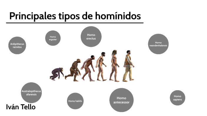 Principales tipos de homínidos by IVAN TELLO RUBIO on Prezi