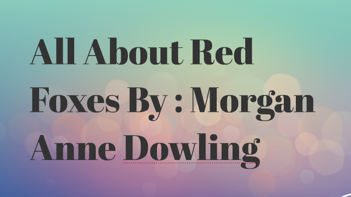 All About Red Foxes By : Morgan Anne Dowling by Morgan Dowling on Prezi