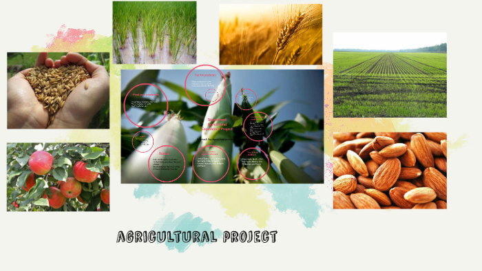Supervised Agricultural Experience Project by Itsel A on Prezi