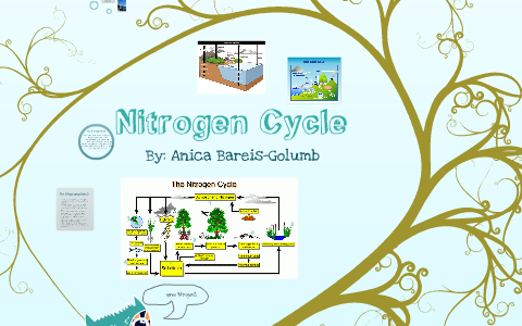 Nitrogen Biogeochemical Cycle by Anica Bareis-Golumb on Prezi