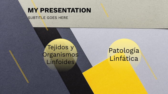 Tejidos Linfáticos. Organismos Linfáticos y Patología Linfática by ...