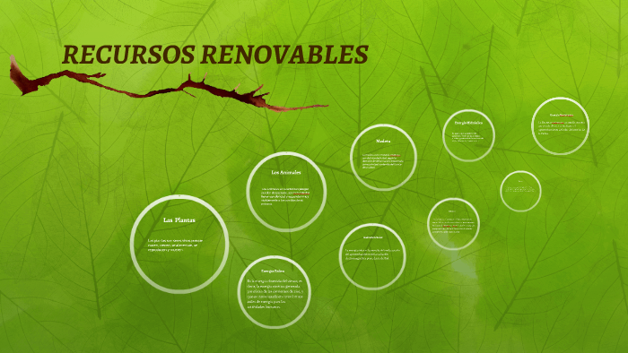 RECURSOS RENOVABLES by Brandon Monroy