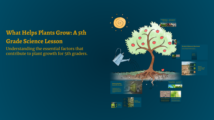 What Helps Plants Grow: A 5th Grade Science Lesson by Josephine Moskal ...