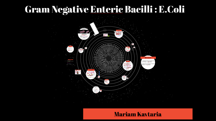Gram Negative Enteric Bacilli: E.Coli by mariam kavtaria on Prezi