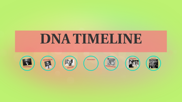 DNA TIMELINE by AP Biology on Prezi