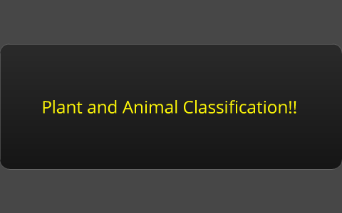 Plants and Animals Classification Project by Elise Terry