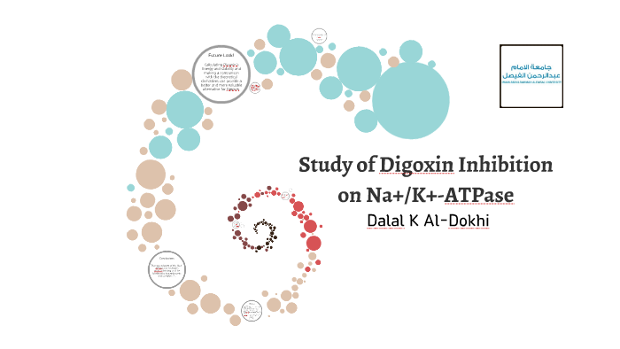 Study of Digoxin Inhibition on Na+/K+-ATPase by Dalal Khalid on Prezi