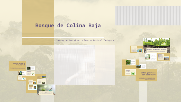 Bosque de Colina Baja by abraham requiz on Prezi