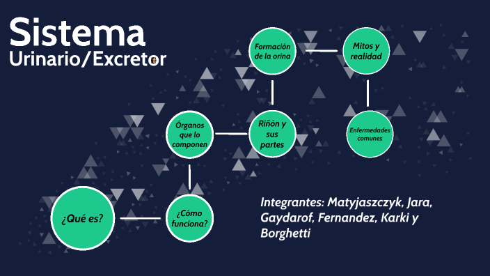 Sistema excretor by Aldana . on Prezi