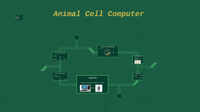Animal Cell Computer by Drew Goodwin on Prezi