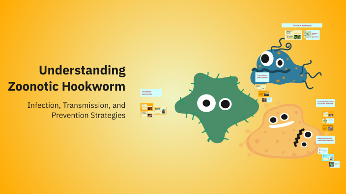 Understanding Zoonotic Hookworm by Amanda Condon on Prezi