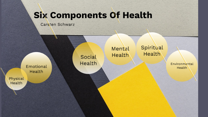 6 Components of Health by CarstenUwe Schwarz on Prezi