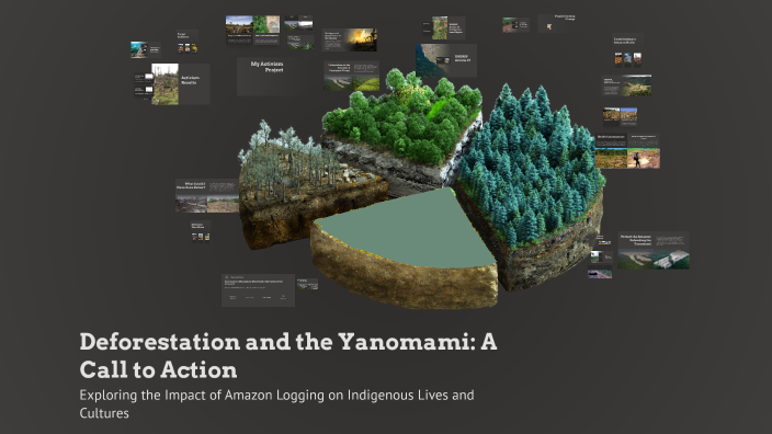 Deforestation and the Yanomami: A Call to Action by Brooke Godwaldt on ...